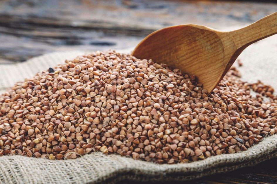 Natum Foundation - Weltacker Plus :: VLGST