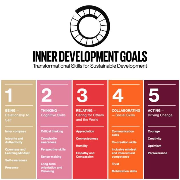 IDGs - Inner Development Goals :: VLGST